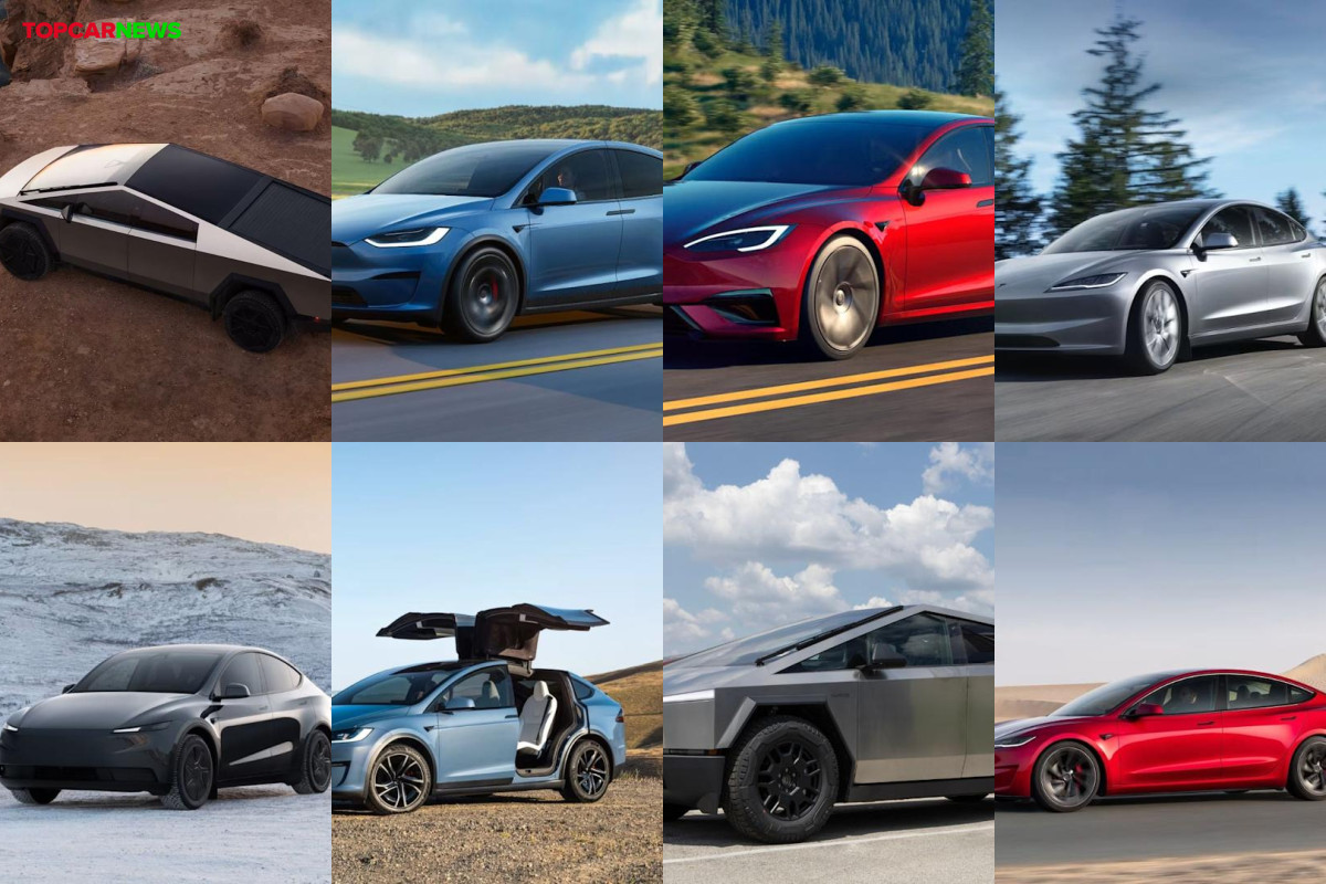Tesla Models Ranked By Longest EPA Range In 2026 - TopCarNews