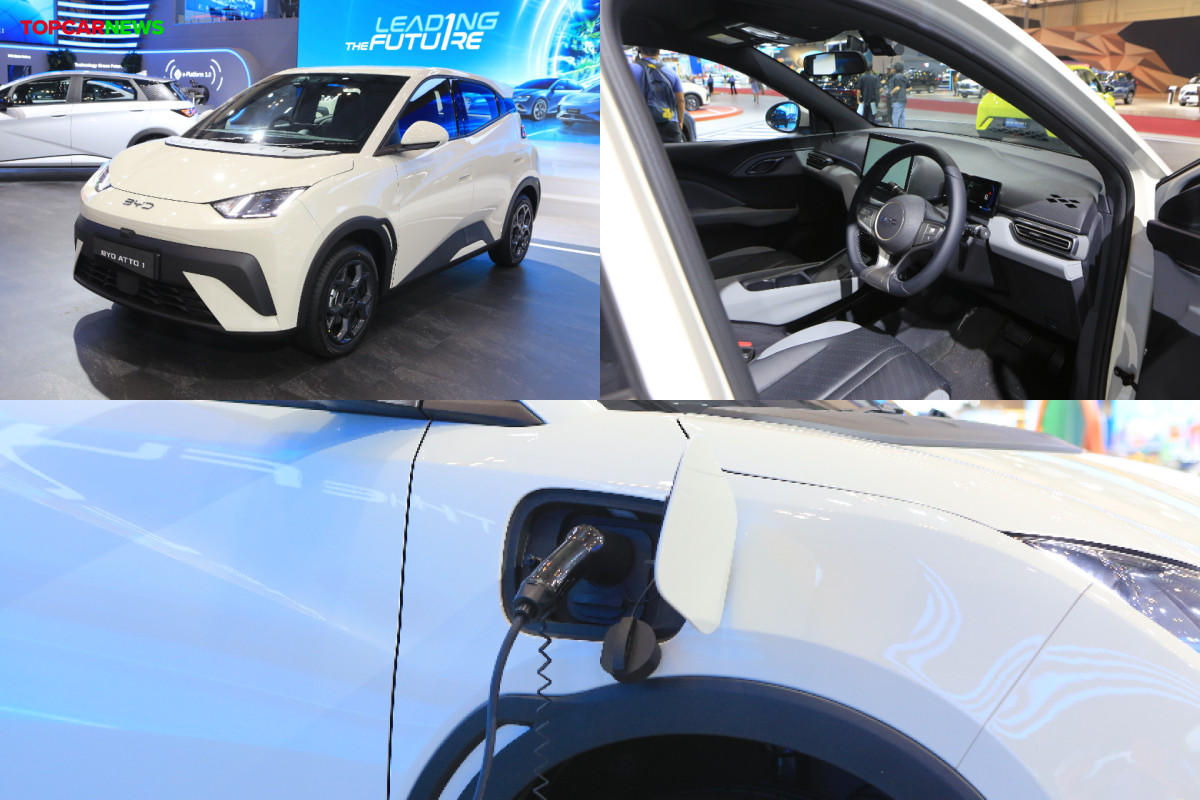 Pilih Tipe Paling Tinggi atau Rendah, Ini Perbedaan BYD Atto 1 Dynamic ...